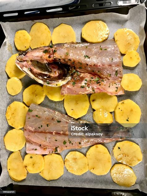 오븐에 베이킹 트레이 종이 시트에 감자 슬라이스와 Sciaena 움브라 생선 필레 굽기 준비 고급 요리에 대한 스톡 사진 및 기타 이미지 Istock