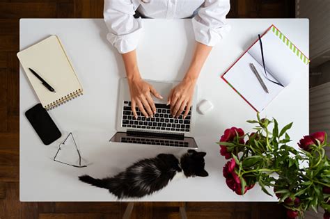 플랫 평신도 홈 오피스 데스크 여성 손 노트북 빨간 모란 꽃다발과 작업 공간 Brand Name Smart Phone에 대한 스톡 사진 및 기타 이미지 Brand