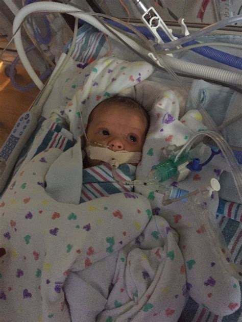 Click Here To Support Emily And Joseph Celis Recovery Fund By Emily Phoenix In 2025 Nicu Nurse