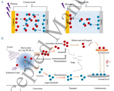 What Are X Ray Detectors Made Of At Michael Carandini Blog