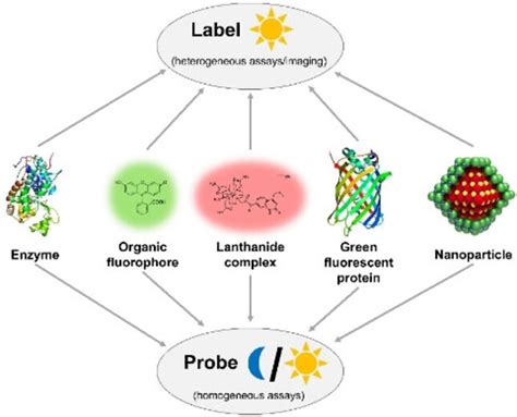 Analysis And Sensing Vol 3 No 2 Chemistry Europe