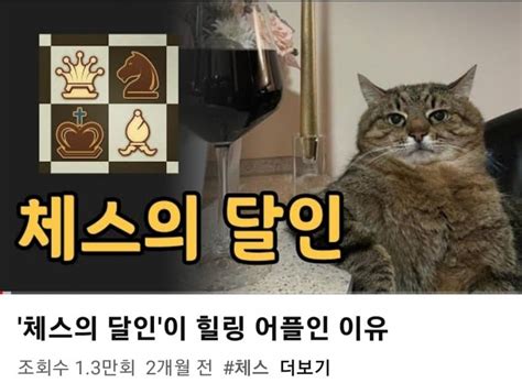 체스막타 진짜 체갤하냐 체스 마이너 갤러리