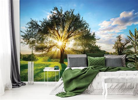 Флізелінові фото шпалери з деревами на стіну 3d Ландшафт Поляна 312x219 см Сонячні промені крізь