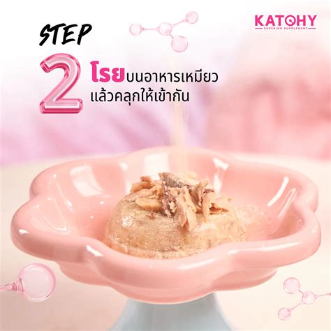 Katchy ร้านค้าออนไลน์ Shopee Thailand