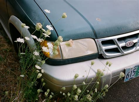 Ashley Bohm Aint—bad