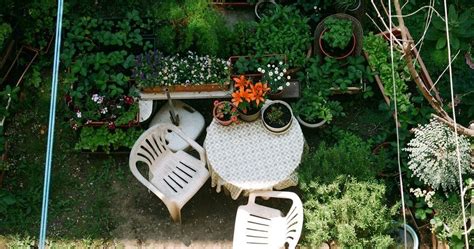 Зона отдыха на даче правила оформления и 6 идей по обустройству 68 фото