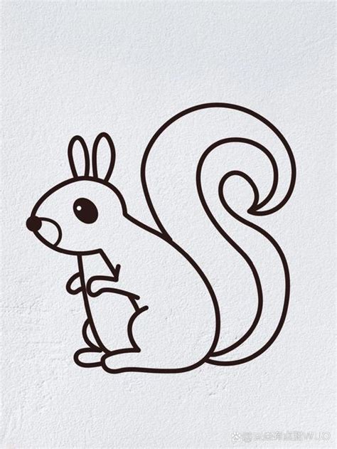 小松鼠哭泣简笔画图片大全打印版（高清13张） 简笔画图片大全