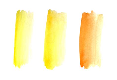아름다운 밝은 수채화 노란색 베이지 색 줄무늬 넓은 브러시 스트로크 흰색 배경에 수채화 얼룩이 있습니다 광대한에 대한 스톡 벡터 아트 및 기타 이미지 Istock