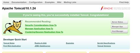 Tomcat 톰캣 서버 설치 실행