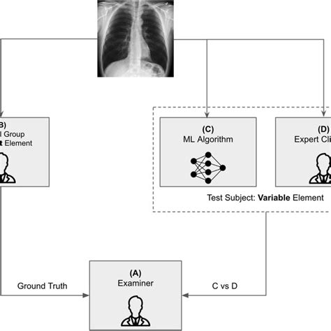 A Systemic Layout Of The Modified Turing Test Download Scientific Diagram