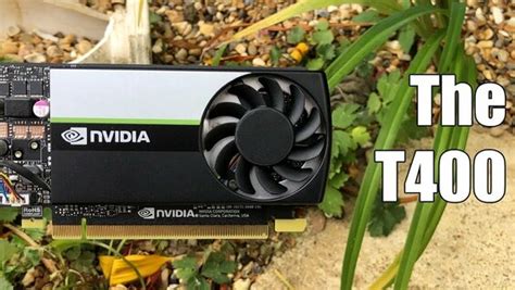 Gaming With The New Nvidia T400 An Entry Level Rtx Pro Gpu Erofound