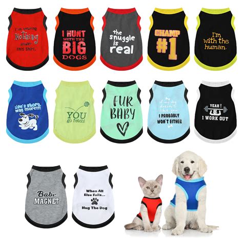 5 Best Dog Outfits Skip The Ill Fitting Tees