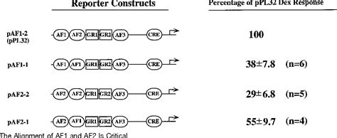 Figure 2 From The Phosphoenolpyruvate Carboxykinase Gene Glucocorticoid Response Unit