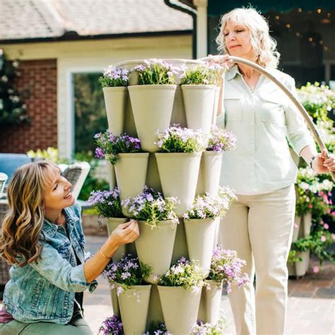 Seed Starting For Beginners A Beginners Guide To A Thriving Garden