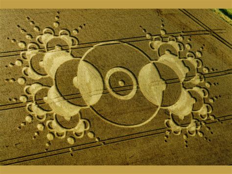 Signal Device Diagram The Crop Signals Project