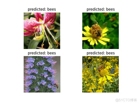 如何训练自己的resnet模型mob6454cc6172e5的技术博客51cto博客