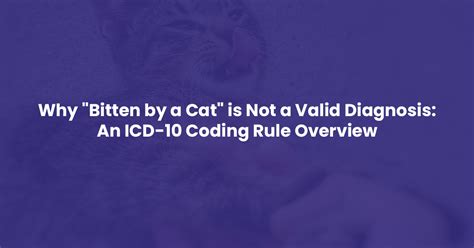 25 Funniest And Strangest Icd 10 Codes In Medical Coding Bellmedex