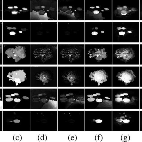 Saliency Maps Using Different Methods In Actual Application A Input