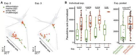 Cell Stem Cell新技术 单细胞谱系追踪解析造血干细胞命运与转录组特征 知乎