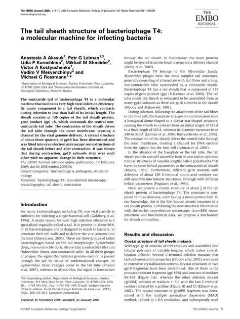 Pdf The Tail Sheath Structure Of Bacteriophage T4 A Molecular Machine For Infecting Bacteria