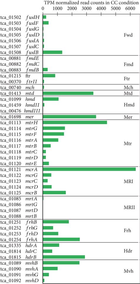 The Methanogenesis Pathway And Gene Expression Patterns Of Download Scientific Diagram