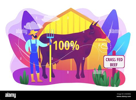 Grass Fed Beef Concept Vector Illustration Stock Vector Image And Art Alamy