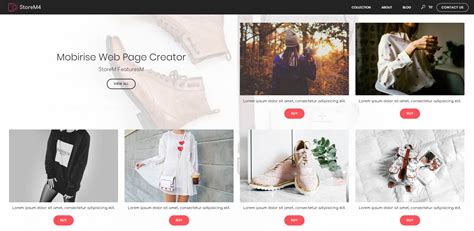 Mobirise Web Design Software Storem Features Block Mobirise