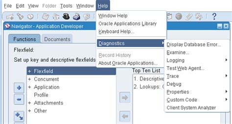 Oracleappsnfusion How To Show Hide Diagnostics Menu Entry