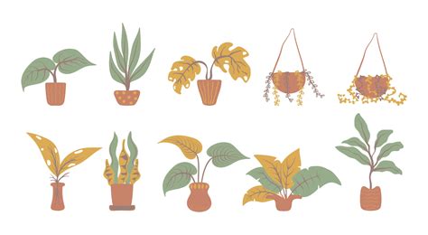 Indoor Potted House Plant Collection 27139489 Vector Art At Vecteezy