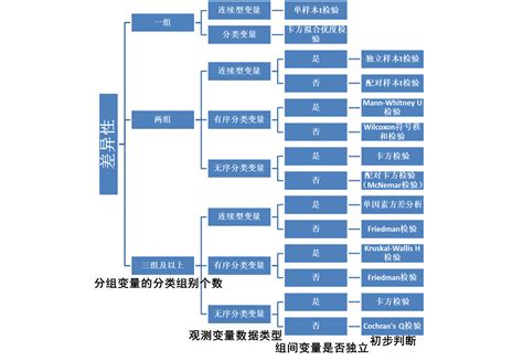 医学统计学中差异性检验的检验方法选择统计学检验方法的选择 Csdn博客