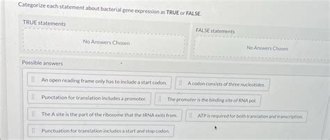 Solved Categorize Each Statement About Bacterial Gene