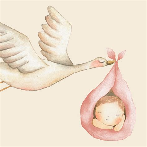 Tsero წერო Tbilisi