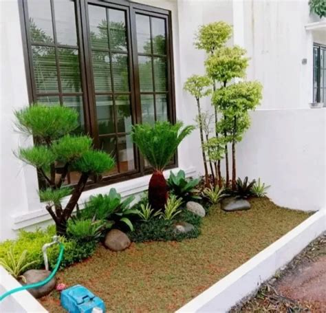 Tanaman Bonsai Anting Putri Warung Tanaman