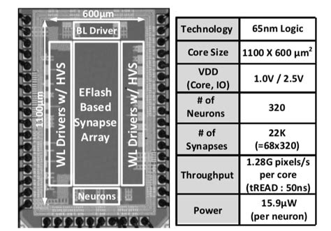 Embedded Flash Memory Hosts Machine Learning EeNews Analog