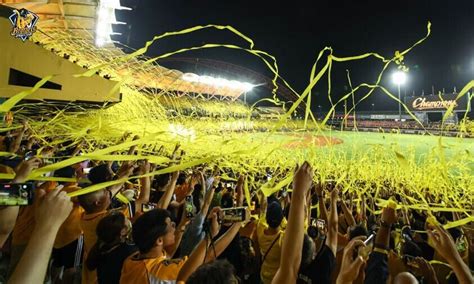 中華職棒35年中信兄弟年度回顧─四年三冠 P2 中職 棒球 運動視界 Sports Vision