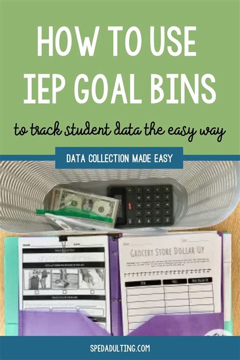 The Easiest Way To Manage Babe Iep Goals Artofit
