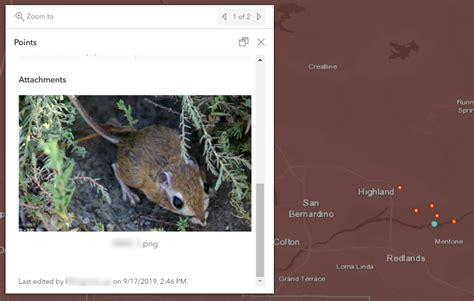 Your Ideas In Map Viewer Beta Esri Community