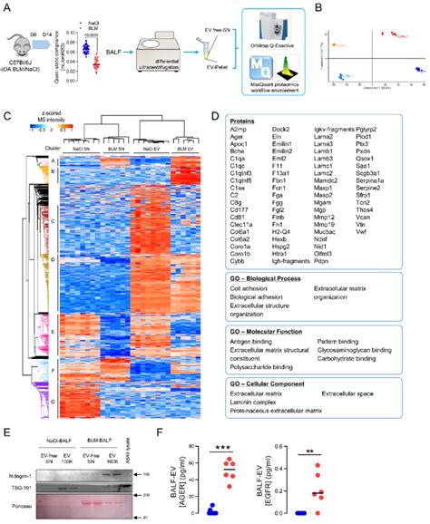 Label Free Proteomics Identified Several Proteins Specific To Fibrotic Download Scientific