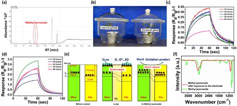 Sensing Natures Alarm Sno 2 Mxene Gas Sensor Unveils Methyl Jasmonate Signatures Of Plant