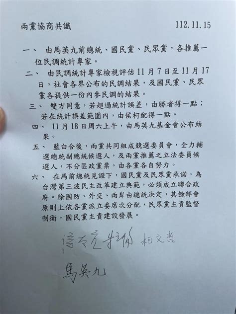 藍白合6共識 綠全民合永遠比藍白合不合重要