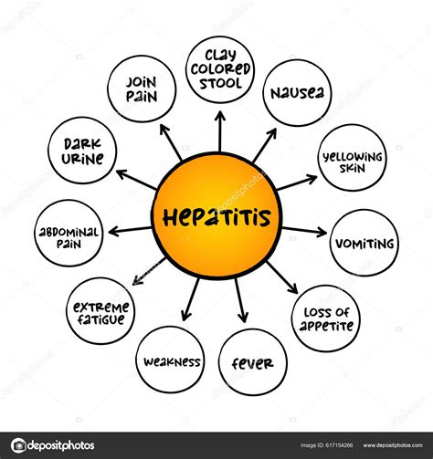 Hepatitis Symptoms Mind Map Medical Concept Presentations Reports Stock Vector Image By ©dizanna