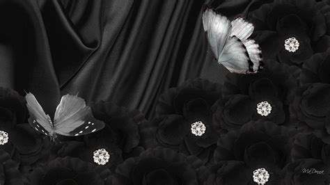 Black Butterfly Wallpapers Wallpaper Cave