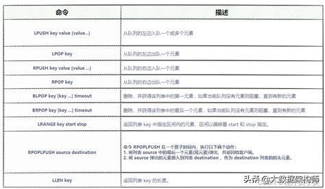图解redis中的9种数据结构（高级面试，必备） redis高级数据结构 csdn博客