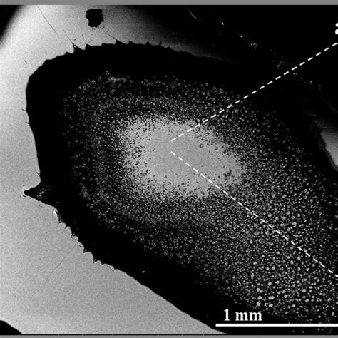 The Figure Shows A Comparison Between A Spiral Defect Chaos Pattern And