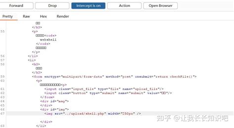 Buuctf Basic Upload Labs 知乎