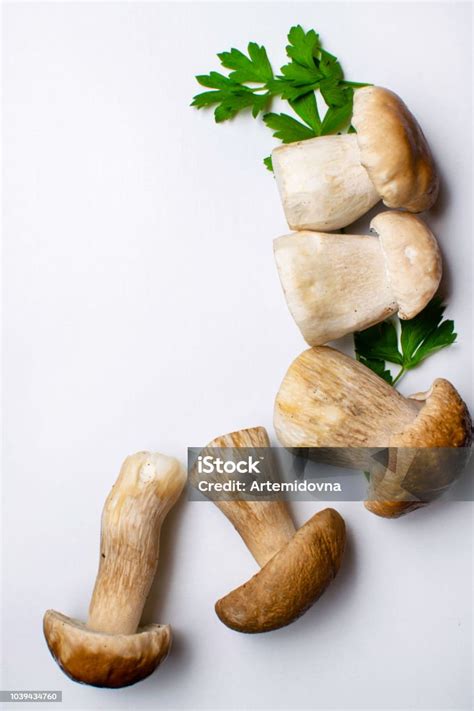 파 슬 리와 흰색 배경 위에 버섯 Boletus입니다 Cep가을 버섯 Ceps Boletus 새싹 요리 맛 있는 유기농 버섯을 닫습니다 맛 있는 음식 가을에 대한 스톡 사진