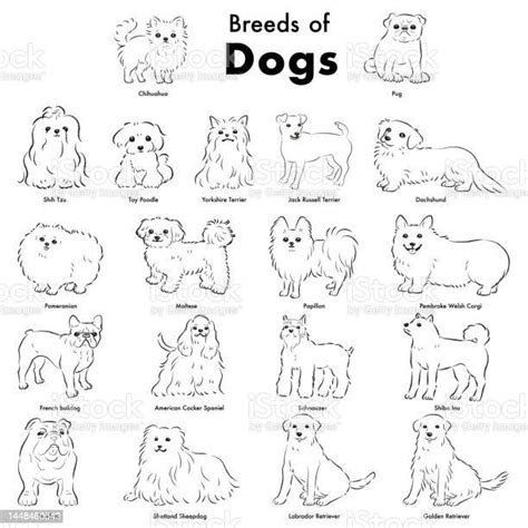 간단하고 귀여운 인기 개 품종 손으로 그린 선 그리기 벡터 일러스트 레이 션 세트 0명에 대한 스톡 벡터 아트 및 기타 이미지