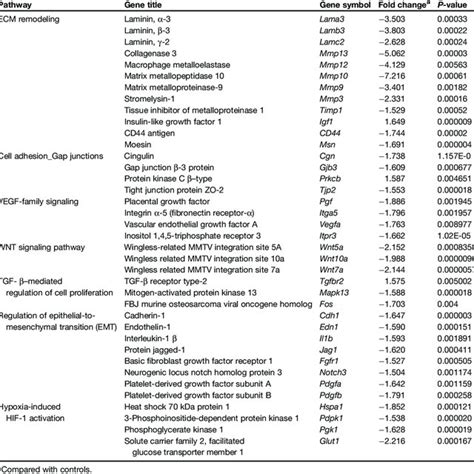 Pathway Analysis By Gene Microarray Of Upa Overexpressing Tumors Download Table