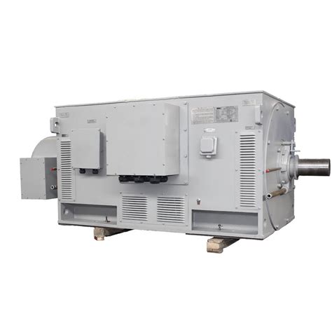 China Customized The Three Phase Squirrel Cage Induction Motor 8000kw
