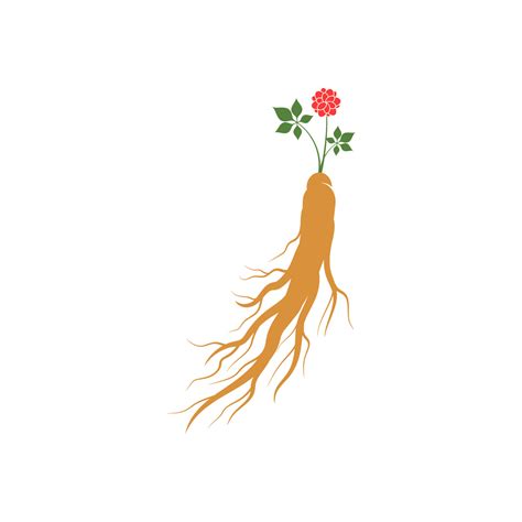 Ginseng Vector Icon Illustration 13646306 Vector Art At Vecteezy